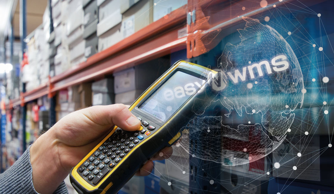 Guía para la implementación de un WMS - Mecalux.com.co